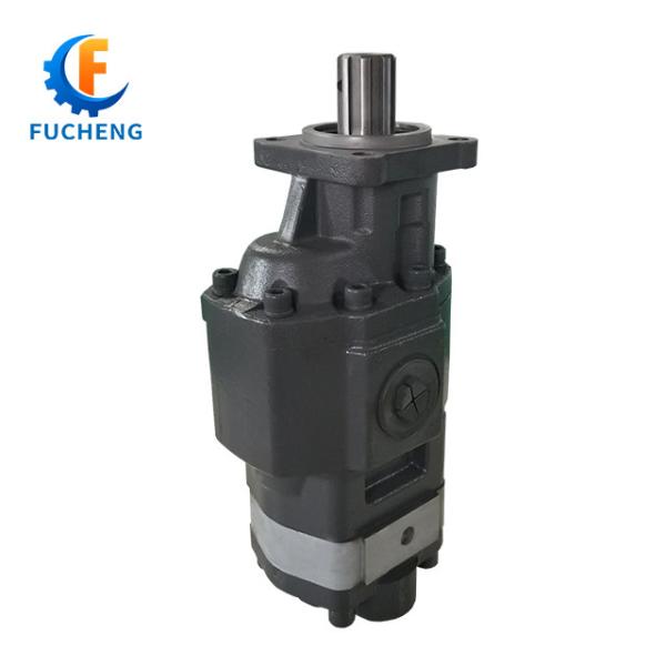 Quality Standard CbhsN17-80 Hydraulic Gear Pump for Dump Truck in Black Performance for sale