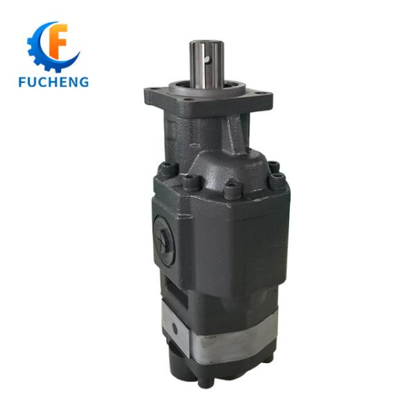 Quality Standard CbhsN17-80 Hydraulic Gear Pump for Dump Truck in Black Performance for sale