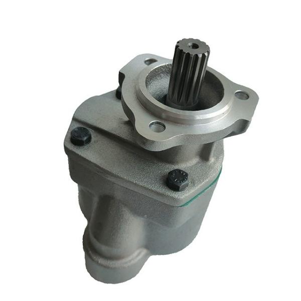 Quality Dana Gearbox Torque Converter Charging Pump with PISTON PUMP Type Trusted by Customers for sale