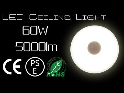 Cina Colore bagno/della camera da letto 60W che cambia le plafoniere del LED con la copertura acrilica in vendita