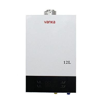 China 12L Wall Mounted Gas Water Heater Indoor Constant Temperature Water Heater for sale