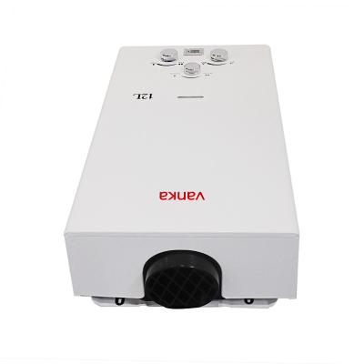China Home Portable Tankless Camper Gas Water Heater Instant Shower Gas Water Heater for sale