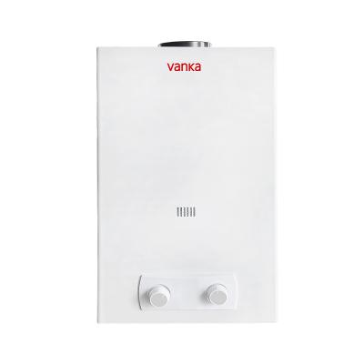 China 10L Flue Type Instant Gas Water Heater Factory Direct Supply for sale