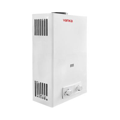 China High-Efficiency Flue Gas Water Heater with Digital Display and Remote Control for sale