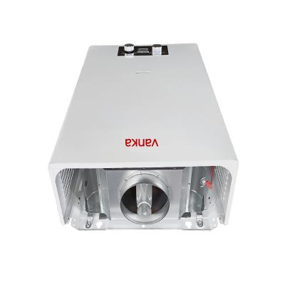 China Custom Natural Gas Instant Wall-Mounted Tankless Water Heater 6L for sale