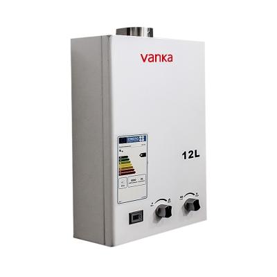 China Digital Temperature Adjustable Forced Exhaust Gas Water Heater High Efficiency 12L To 24L Capacity For Home Hotel And Commercial Use for sale
