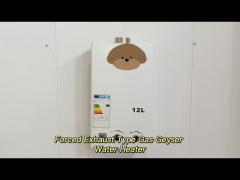 Digital Temperature Adjustable Forced Exhaust Gas Water Heater High Efficiency 12L - 24L