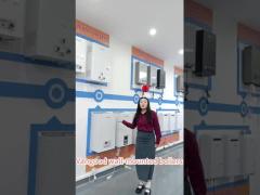 20 kW gebalanceerde, aan de muur gemonteerde gascombi-ketel, thermostaat