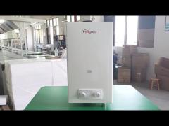 Fornecimento Direto de Fábrica de Aquecedor de Água a Gás Instantâneo Tipo Chaminé 10L