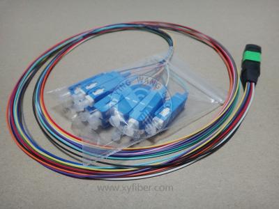 China 12 Core MPO to SC/UPC single Mode Fiber Optic Patchcord For MPO Cassets for sale