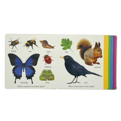 China Factory Cheap Custom Rainbow Edge Shape Children Early Learning Board Book Printing for sale