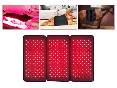 Cina Stuoia principale di fisioterapia della casa PDT del dispositivo di terapia di luce rossa del dispositivo 660nm 810nm di fototerapia in vendita