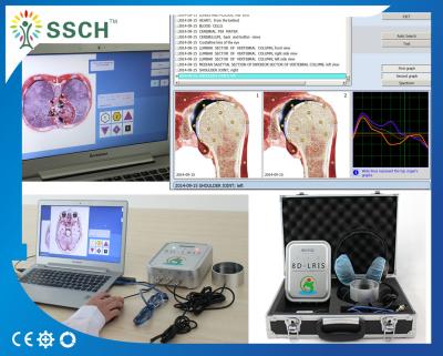 Cina analizzatore pieno di salute dell'analizzatore di salute del corpo di 8D LRIS NLS con il certificato del CE in vendita