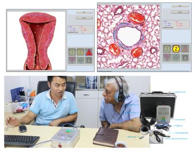 Cina AURA e funzione GY-518D di Chakra con l'analizzatore pieno del dopo vendita gentile di salute del corpo di 8D LRIS NLS in vendita