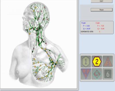 Cina 8D Lris NLS stabile e malattia più veloce di diagnosi di salute che individua a casa fisioterapia in vendita