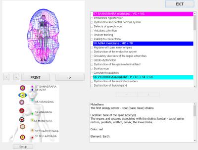 Cina L'analizzatore di salute del corpo di accuratezza 8D NLS di 85% ha avanzato la macchina magnetica di Chakra di aura di Quantum in vendita
