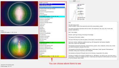Cina L'analizzatore di salute del corpo di accuratezza 8D NLS di 85% ha avanzato la macchina magnetica di Chakra di aura di Quantum in vendita