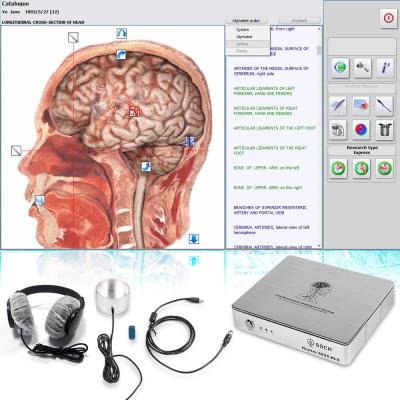 Cina 4025 peso del cacciatore 5KG di Bioresonance Metapathia GR della macchina di terapia di Metatron NLS in vendita