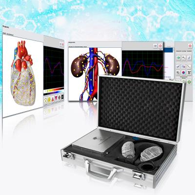 Cina Alta precisione clinica dell'analizzatore di salute di biofeed-back di Metatron NLS con l'OEM in vendita