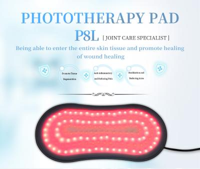 Cina involucro FDA di terapia di luce rossa di vicino infrarosso 110V per sollievo dal dolore posteriore in vendita