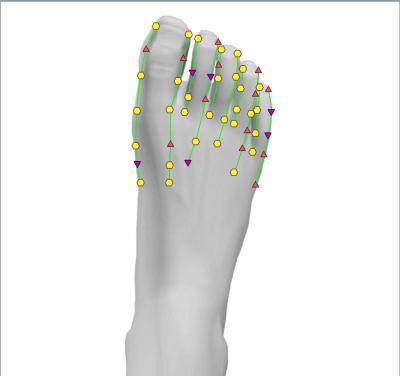 Cina Cacciatore di Metatron NLS 4025 di ricerca e di terapia di salute di Bioresonance per l'attrezzatura di rilevazione del corpo in vendita