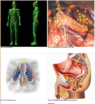 Cina Più nuove ricerca e terapia di salute di Bioresonance del sistema NLS Del cacciatore di Metatron 4025 in vendita