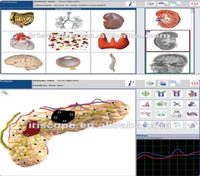 Cina Intelligenza più veloce stabile di risonanza di vita del monitor dell'analizzatore del cacciatore 4025 di Metapathia GR in vendita