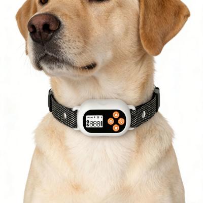 China Humane Dog Bark Collar Rechargeable Waterproof Adjustable Training Collar with Safety Protection for sale