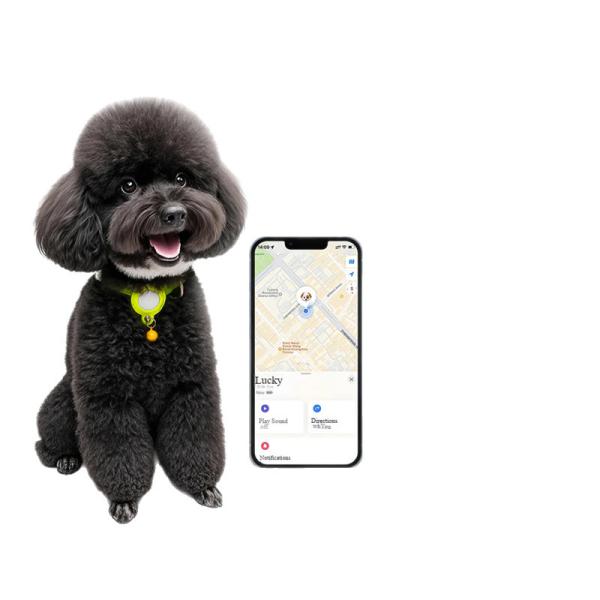 Quality GPS Smart Pet Collar – Waterproof, Real-Time Tracking, Long Battery Life, Wholesale OEM for Dogs & Cats for sale