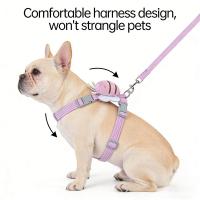 Quality Pet Harness Set, Soft Breathable Walking Harness, Bulk Wholesale & Private Label for sale