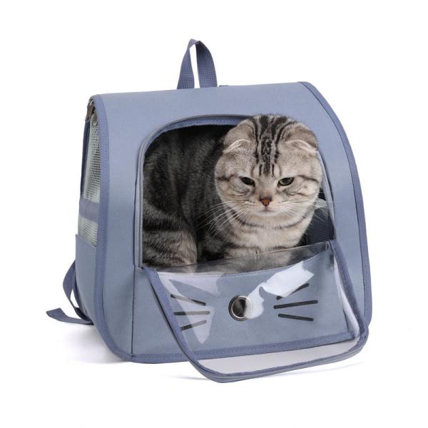Quality Bulk Cat Backpack Carrier, Clear Window Breathable Pet Travel ODM Backpack For B2B Pet Supply Buyers for sale