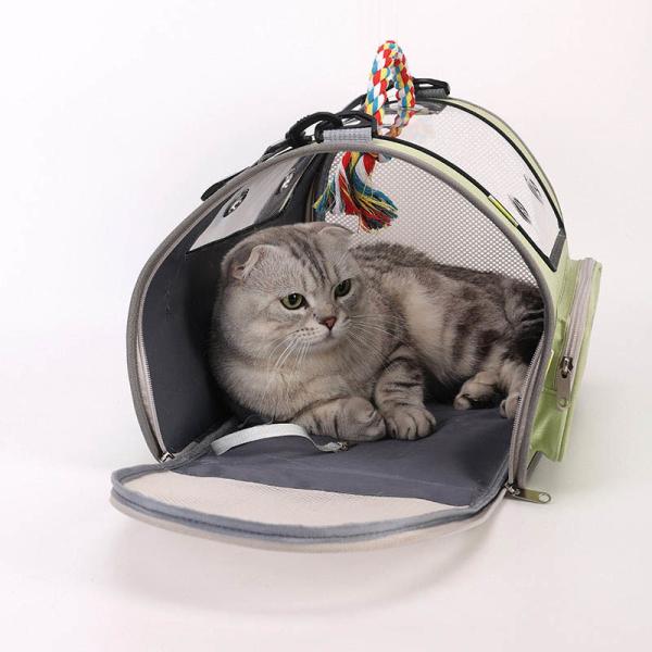 Quality Pet Backpack Carrier Bulk Mesh Large Opening Outdoor Hiking Cat Backpack Private Label Wholesale for sale