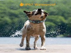 IP67 Waterproof Dog Training Collar Rechargeable  Pet Training Collar for Bulk Wholesale O