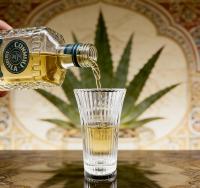 Quality Height 86cm Whiskey Glass Cups 55ml Cocktail Shot Glass Cups With Smooth Rim for sale