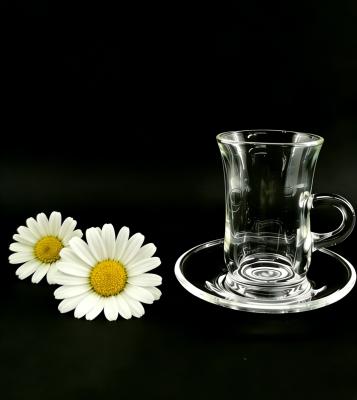 China Eco-friendly 12PC Premium Glass Tea Cups with Gift Box Which Foam inside Good Protect During Shipping for sale