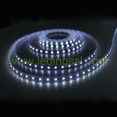 China LED Flexible Strip Name: AF600-P116XX-L2 (White) for sale