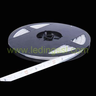China LED Flexible Strip Name: AF300-P116XX-L3(White) for sale