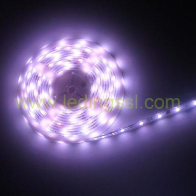 China LED Flexible Strip Name: AF300-P116FU-L1(Full color) for sale