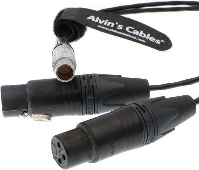 China Alvin'S Cables XLR Breakout Audio Input Cable For Atomos Shogun Monitor Recorder 10 Pin To Dual XLR 3 Pin Female for sale