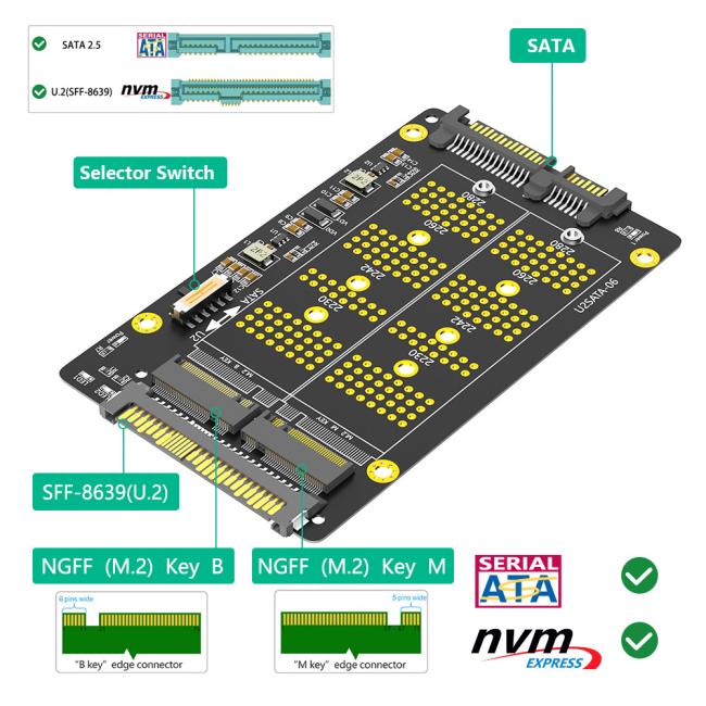 M.2 to U.2 and SATA adapter connection ports