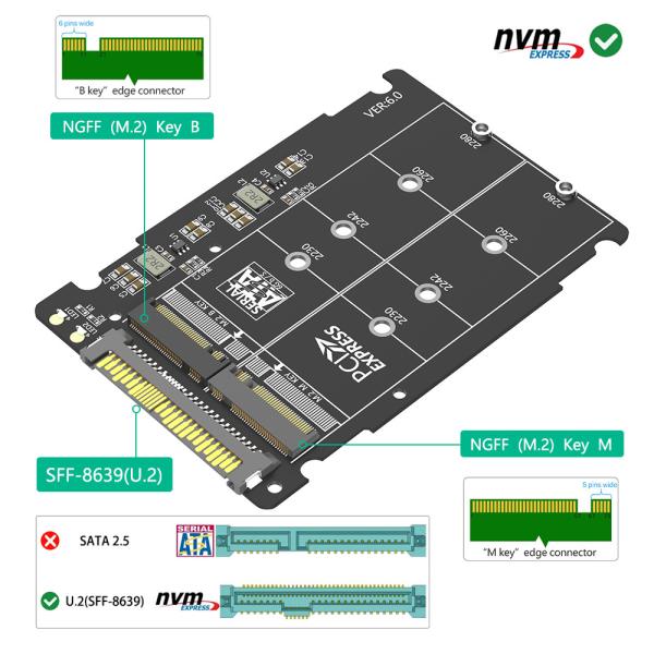 Quality 2 in 1 M.2 NVME PCI-E NGFF SATA SSD to U.2 SFF-8639 Combo Adapter for sale