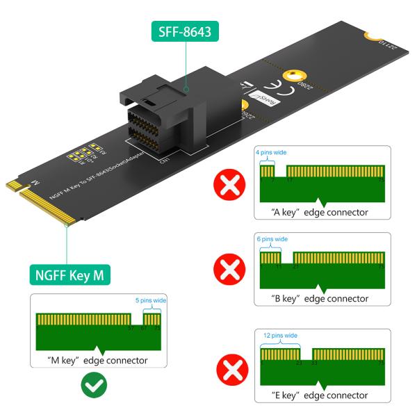 Quality M.2 to SFF-8643 Adapter for NVMe SSD 32Gbps PCIe 3.0 x4 for sale