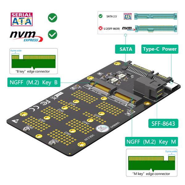 Quality NGFF M2 SFF 8643 Adapter Win11 SSD Expansion Card Key B NVMe SSD Adapter for sale
