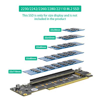 China Dual NVMe PCIe Adapter PCIe 4.0 X16 to Dual NVMe and 1x More PCIe x16 Adapter for M.2 NVMe SSD for sale