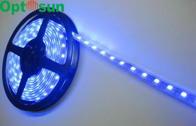 China DC12V SMD 5050 LED Strip Light Waterproof RGB Outdoor Decoration Lighting for sale