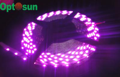 China Single Color Flexible 30leds 5050 SMD Led Strip Light with 120° Beam Angle for Window Display for sale