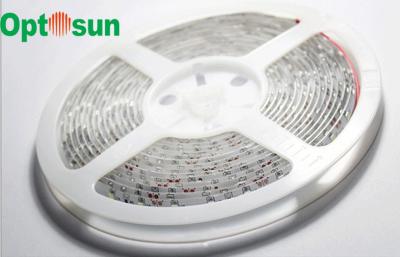 China High Brightness Flexible Cool White SMD 3528 LED Strip Light for Clubs / Home , 4.8w/meter for sale