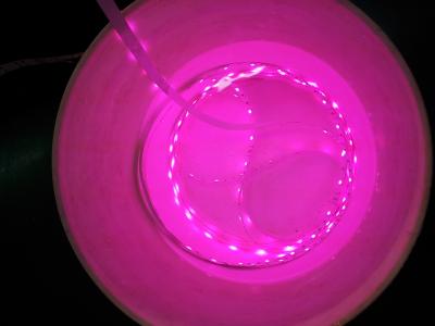China Nano Coating IP68 Waterproof LED Strip Light with SMD5050 Pink Color for sale