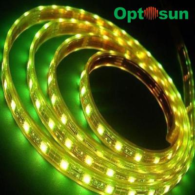 China SMD 5050 High Power Waterproof RGB LED Strip Light IP65 30pcs 220V for sale