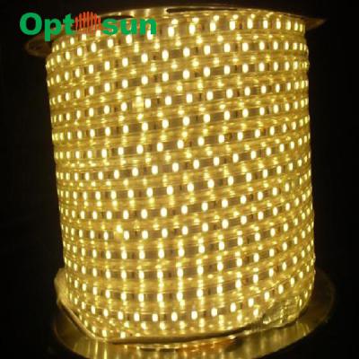 China AV110 / 220V SMD 5050 LED Strip Light For Decorating Swimming Pool for sale